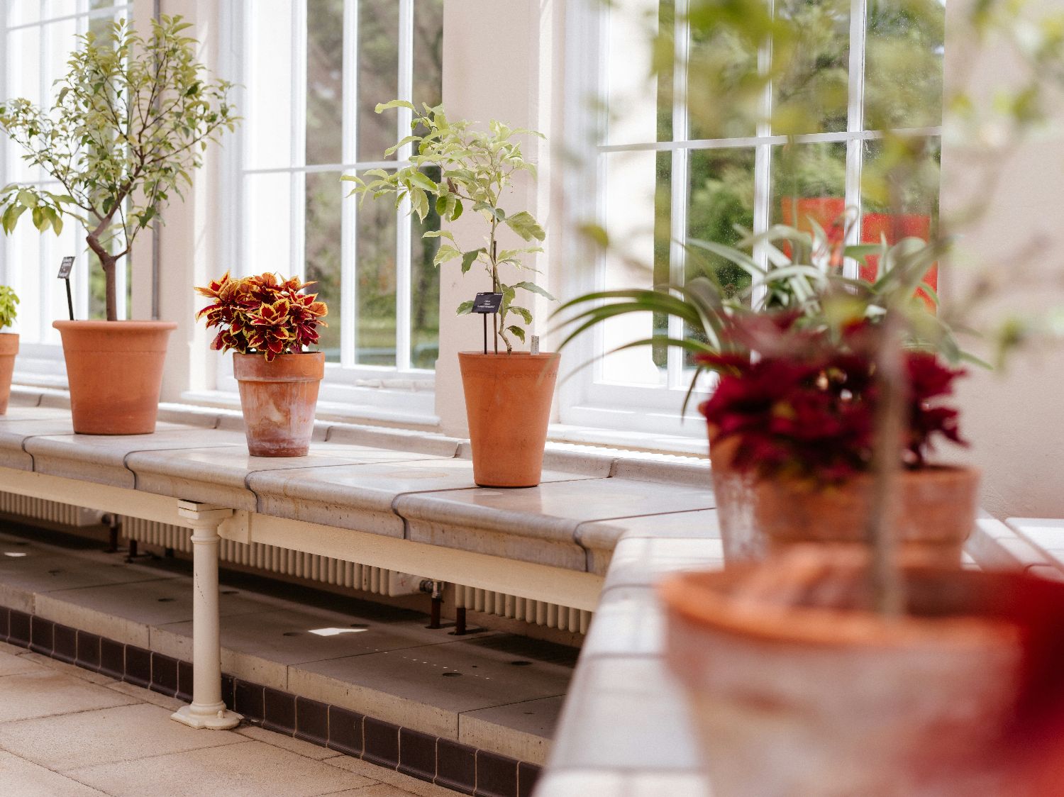 How Natural Light from Your Windows Enhances Your Home and Wellness ...