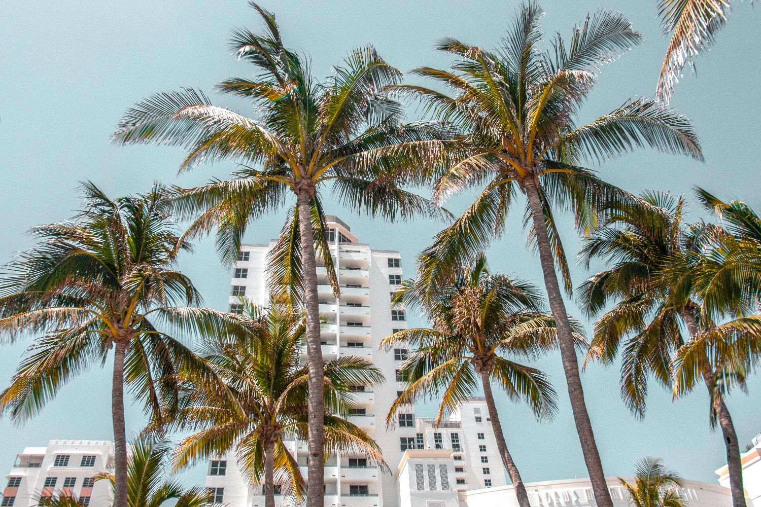 Tampa Bay Impact Windows Offer Superior Protection | St. Pete Window ...