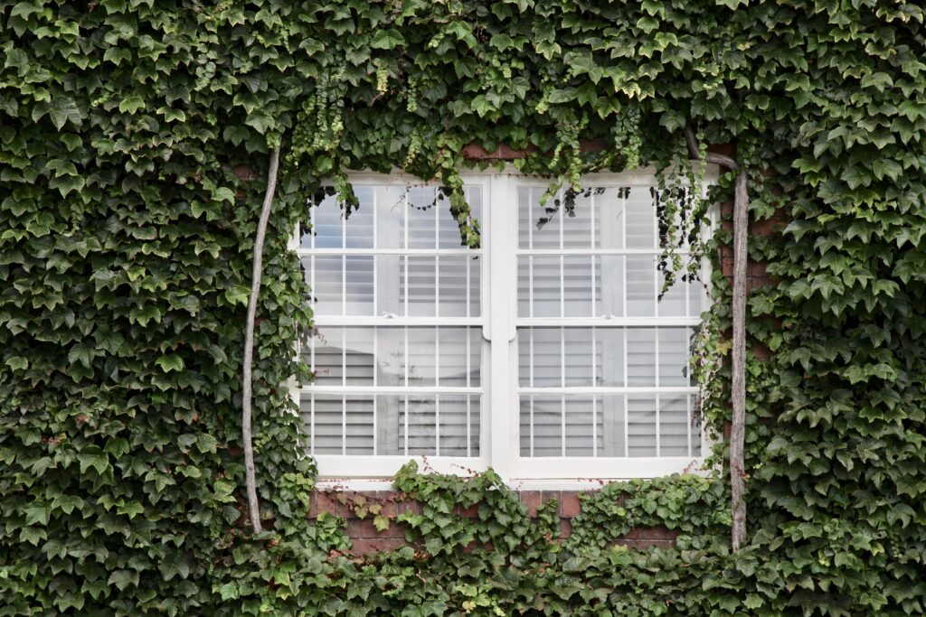 Ideas For Window Privacy | St. Pete Window Company